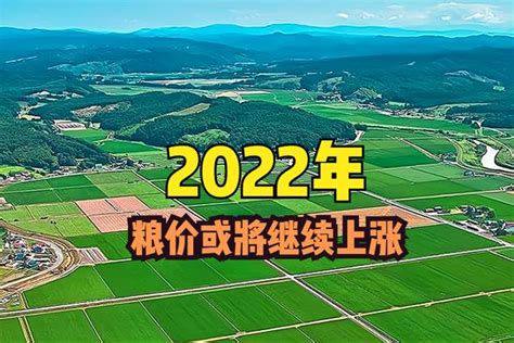 2021年「搶糧」熱火朝天，全球糧價上漲明顯，2022年糧價或還要漲 每日頭條
