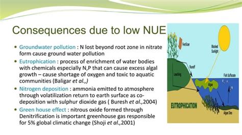 Nitrogen Use Efficiency Pptx Agriculture Industries