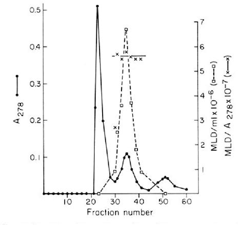 Figure 1 From Isolation And Characterization Of Clostridium Semantic Scholar