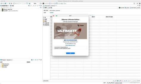 多数据库连接管理：dbeaver For Mac中文dbeaver多个连接查询 Csdn博客