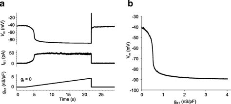 Resting Potential Versus Gk1 A Membrane Potential Vm Top Panel Download Scientific Diagram