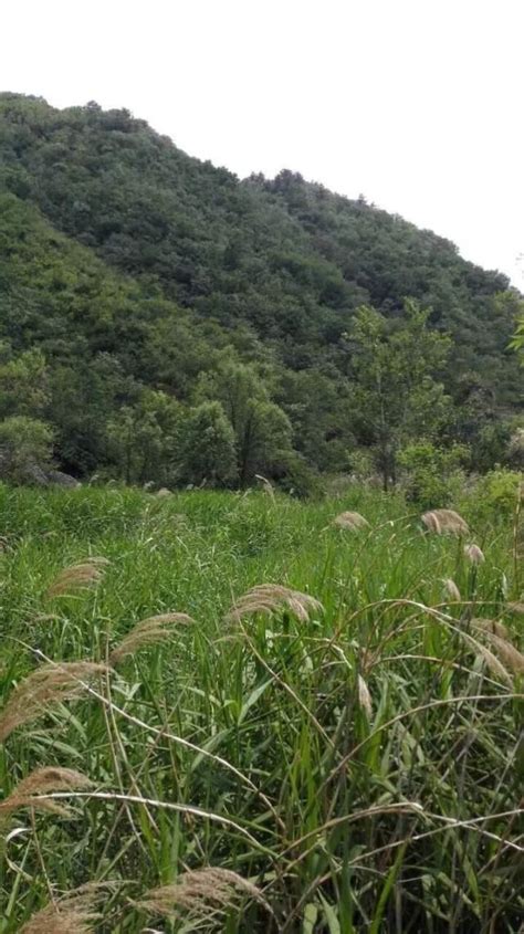 北京延慶翠鳥谷旅遊實拍 每日頭條