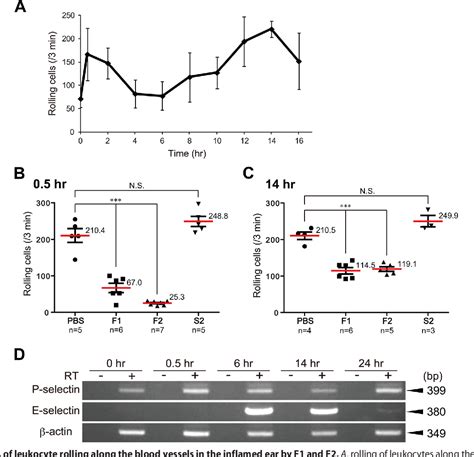 Figure 9 From Novel Antibodies Reactive With Sialyl Lewis X In Both