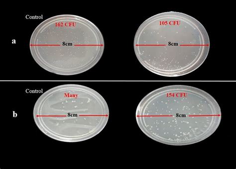Image Colony Formation Unit Cfu Counting Of A S Aureus And B E