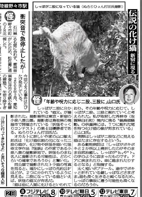 紳士なヤマさん2 On Twitter Rt Tospouma 2月22日は「猫の日」です。ニャンニャンニャンの語呂合わせです
