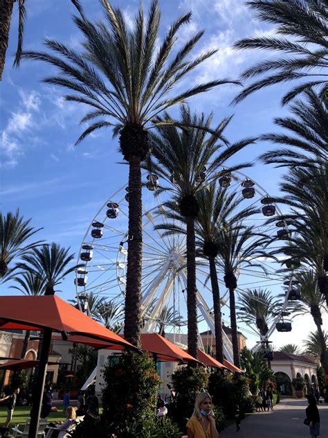 13 Fun Places To Go In Orange County Unique Local Guide
