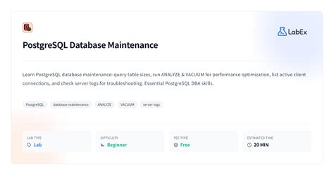 Postgresql Database Maintenance Labex