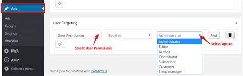 What Is User Targeting Condition In Adsforwp Ads For Wp Documentation