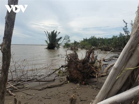 Tiền Giang Quyết Tâm Bảo Vệ Cồn Ngang Trước Tình Trạng Xói Lở Nặng Nề