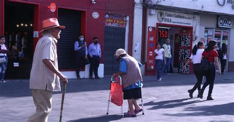 Adultos Mayores Padecen Abandono Y Violencia En México ¿quién Lo