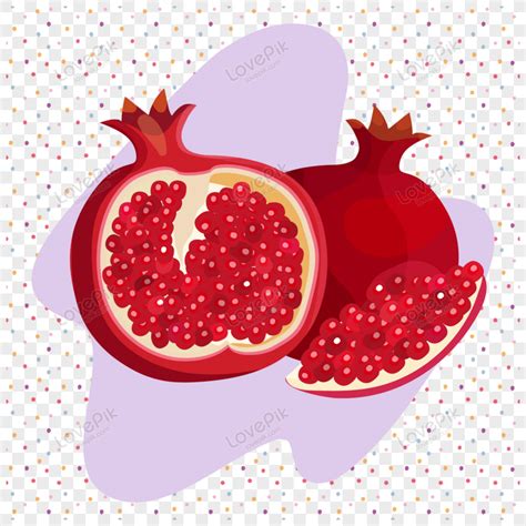 석류 벡터 Png 일러스트 및 벡터 이미지 무료 다운로드 Lovepik