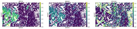 Analyze Nanostring Data — Squidpy Documentation