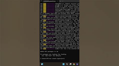 how to install vuejs and create first application in vuejs explained