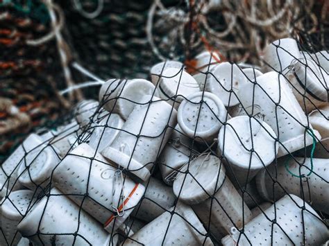Premium Photo View Of Plastic Containers In Net Outdoors
