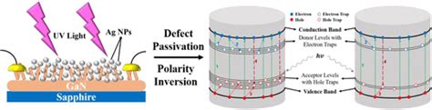 Photocurrent Polarity Switching And Enhanced Photoresponse In Silver