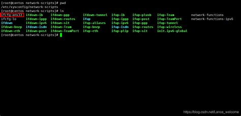 Centos7服务器命令行配置静态ipcentos7网络配置静态ip命令 Csdn博客