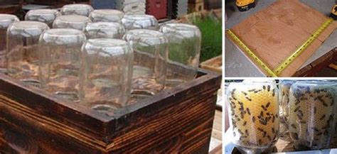 Diy Beehive In A Jar Bee Hive Diy Honeycomb Jar