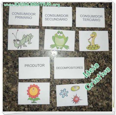 Atividades Cadeia Alimentar Flash Cards Food Chain Classroom Porn Sex Picture