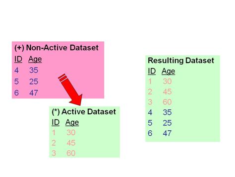 Introduction To SPSS Understanding Data Management Tasks