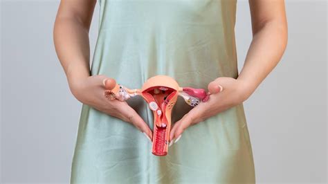 Womens Day 2024 Why Is Std Screening Important Know Available Tests
