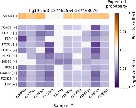 Tfs Significantly Affected At Bcl6 Patient Specific Regulatory Mutation