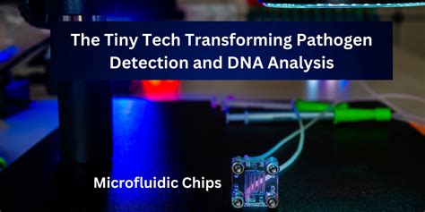 The Tiny Tech Transforming Pathogen Detection And Dna Analysis Microfluidic Chips