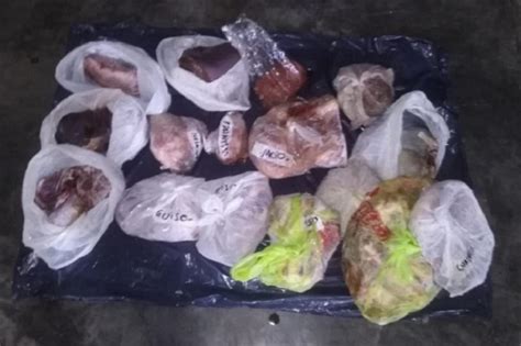 Detuvieron A Un Hombre En Villa Gesell Por Robo De Ganado Entrelíneas