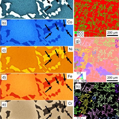 Microstructure Of The Alloy Immediately Before Deformation At 1100 °c