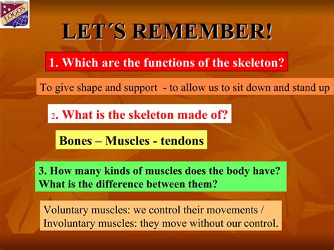 Skeletal System Ppt Physical Therapy Wellness