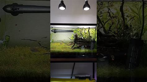 Aqualife