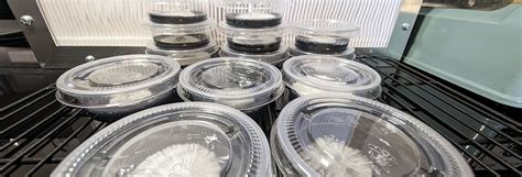 A Comprehensive Guide To Agar In Mushroom Cultivation Mycology Start