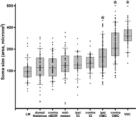 A Comparison Of The Sizes Of Neurons In Nucleus Of The Basal Optic Root Download Scientific
