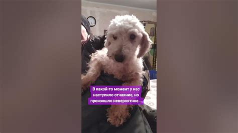 Слепой больной выброшен у него не было шансов найти семью но чудеса