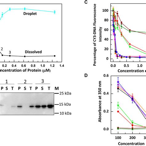 DNA Binding Deficient Mutants Of KicGAS Have Less Inhibition On CGAS