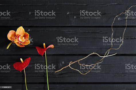 열 대 꽃과 녹색 잎 난초 검은 색 나무 배경 평 신도에 안 투 륨 0명에 대한 스톡 사진 및 기타 이미지 0명 개념 꽃