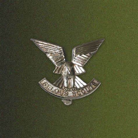 Rhdbg1571 Selous Scouts Beret Badge Warstore