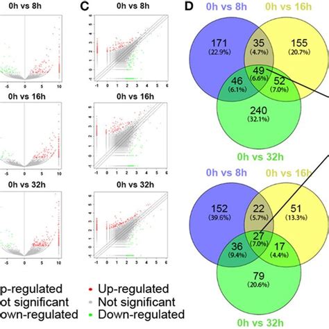 Differentially Expressed LncRNA Profile By Sequencing A The Cluster