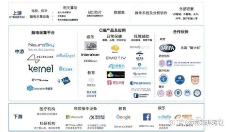 脑机接口人机交互终极方式核心环节梳理 知乎
