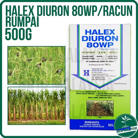 HALEX Diuron WP G Herbicide Grass Killer Same As Ancom Hextar BM Racun Rumpai Rumput Padi