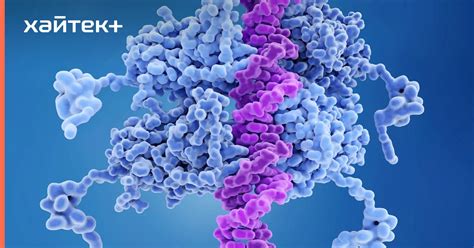 Unraveling The Mutant P53 Protein Key To Cancer Treatment Strategies Archyde