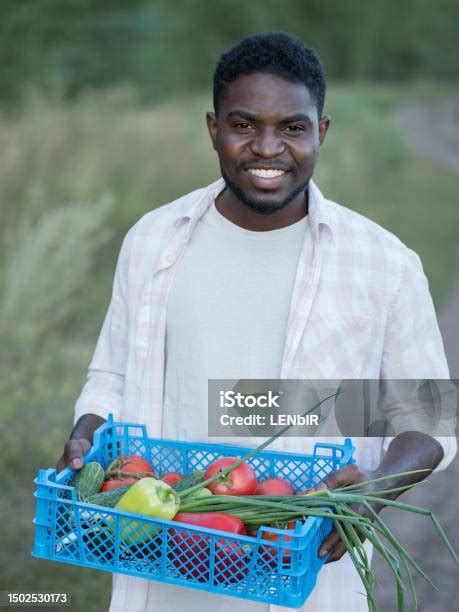 아프리카 계 미국인 농부는 야채 수확과 함께 상자를 운반합니다 식량 안보에 대한 스톡 사진 및 기타 이미지 식량 안보 건강한 식생활 25 29세 Istock