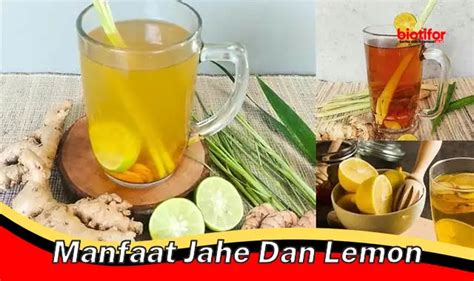 5 Manfaat Jahe Dan Lemon Yang Wajib Anda Tahu Biotifor