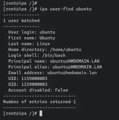 How To Install FreeIPA Server With Docker On Debian