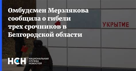 Омбудсмен Мерзлякова сообщила о гибели трех срочников в Белгородской области