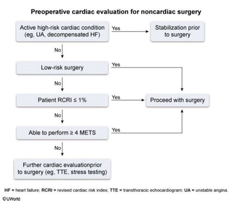Preoperative Cardiac Evaluation Flashcards Quizlet