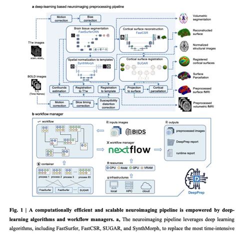 Alessandro C On Linkedin Deeplearning Fastai Neuroimaging