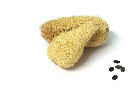 흰색 배경에 자연 스크러버 스폰지 가드 루파 스폰지 아시아에서 스크러버로 사용 건조한에 대한 스톡 사진 및 기타 이미지