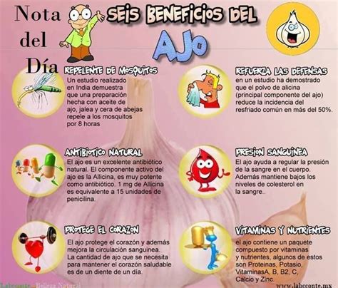 Los Beneficios Del Ajo¡¡ Instrucciones Durante El Siglo 19 Louis