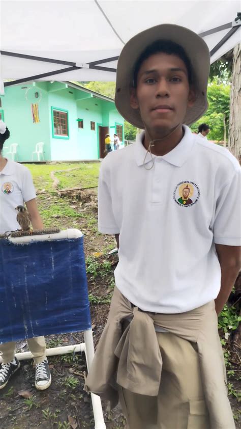 Monitoreo De Nidos De águila Harpía Con Cámaras Trampa Panamá El Uso